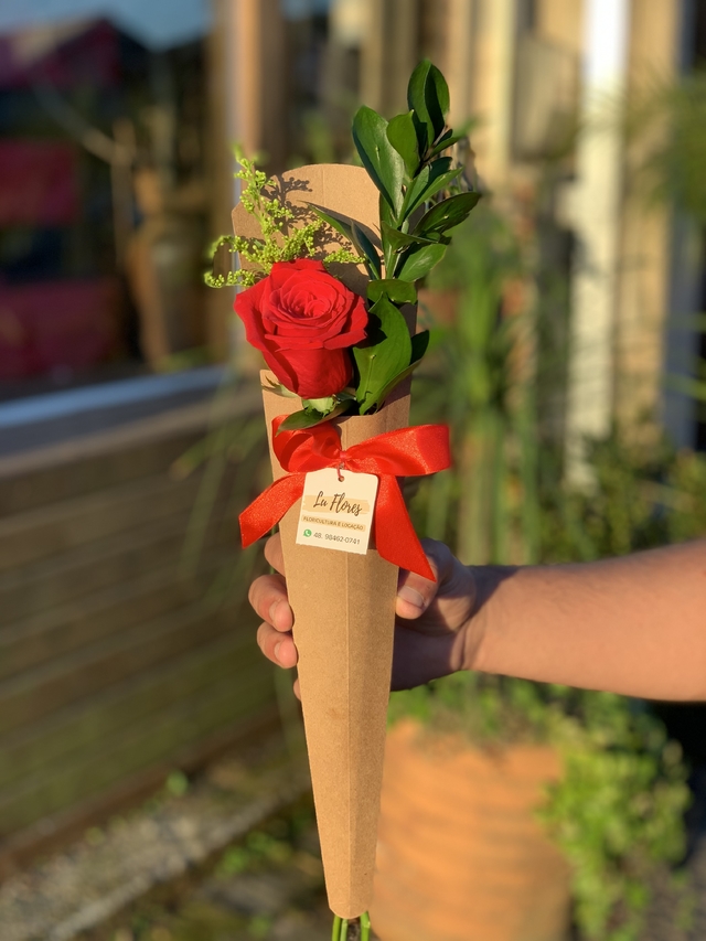 Rosa Importada Embalada - Floricultura Lu Flores | Floricultura Lu Flores